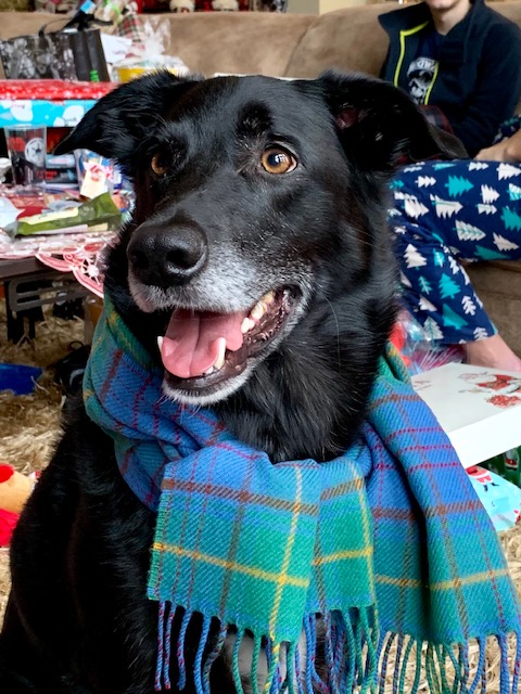 Reference Photo Guide – Adlaya's Art